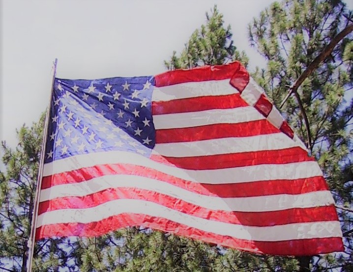 Nationalism's Promise - Resilient actions